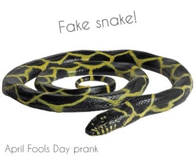10 Super Fun April Fools Day Prank Ideas