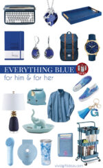 Blue Gift Ideas: 23 Cool Stuff That Are Blue in Color