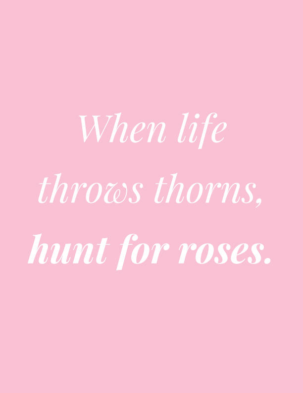 30 Inspiring Pink Quotes to Brighten Your Day